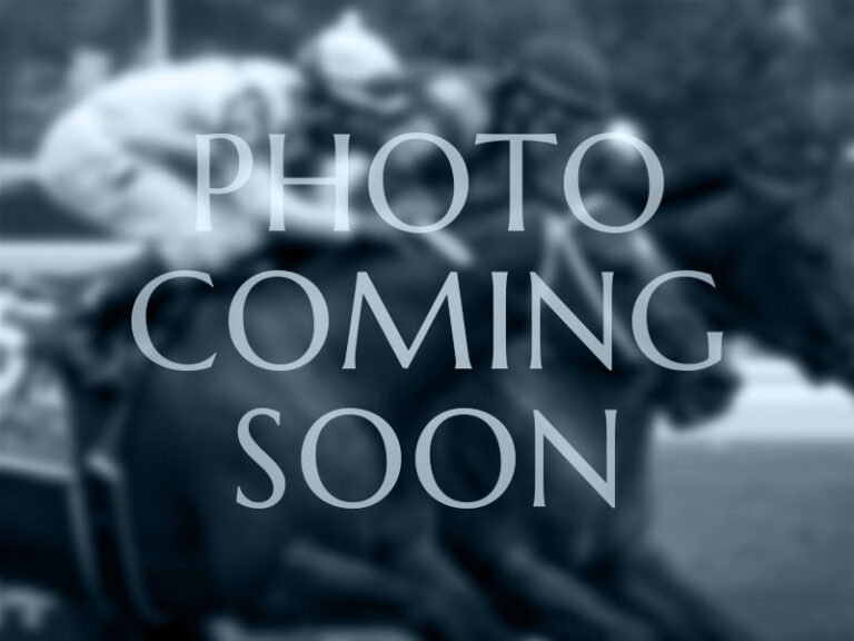 Racing – Town & Country Farms