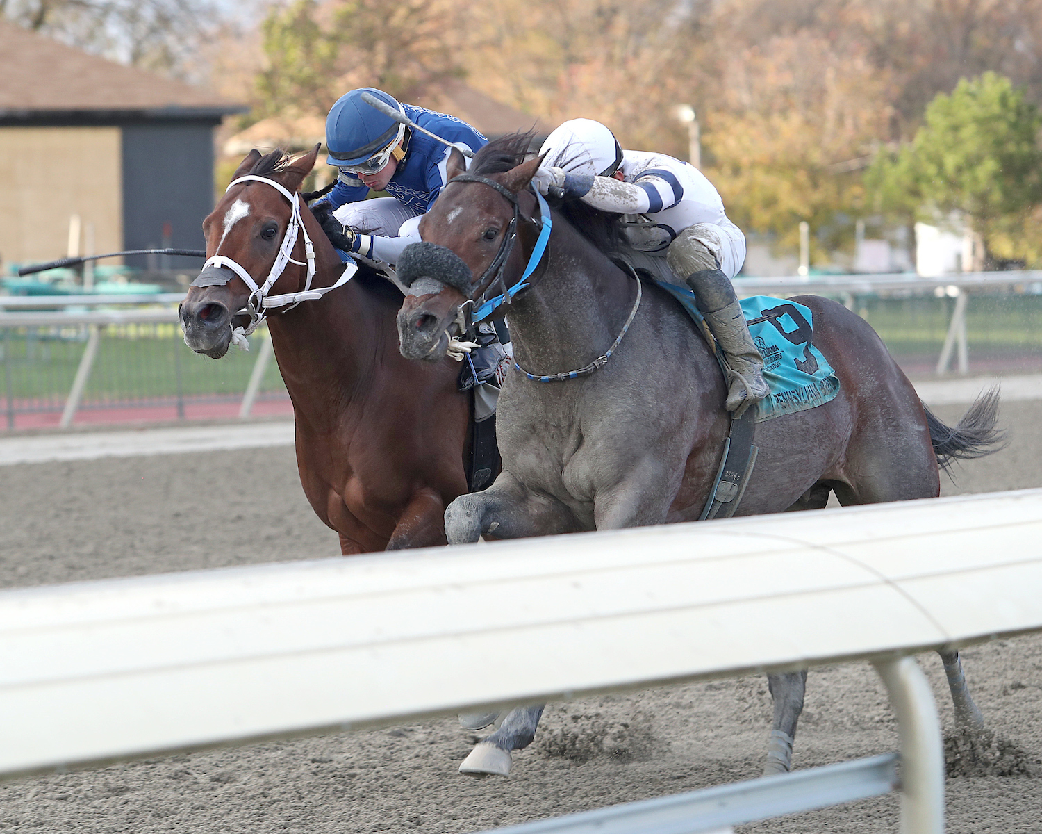 Racing – Town & Country Farms